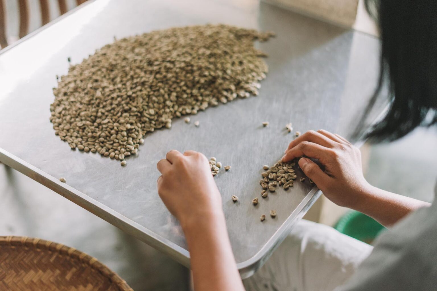 Asal-usul Popularitas Kopi Toraja Milik Nusantara - Cultura