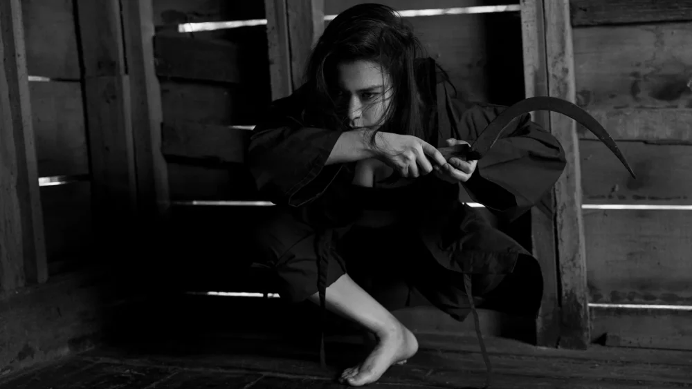 Mitski: The Land Is Inhospitable and So Are We Album Review - Cultura